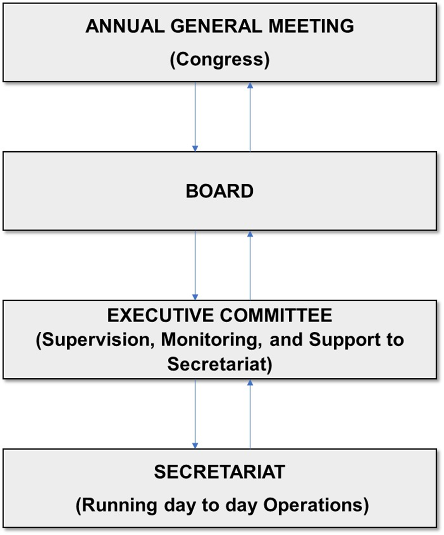 About Tamfi – Tamfi